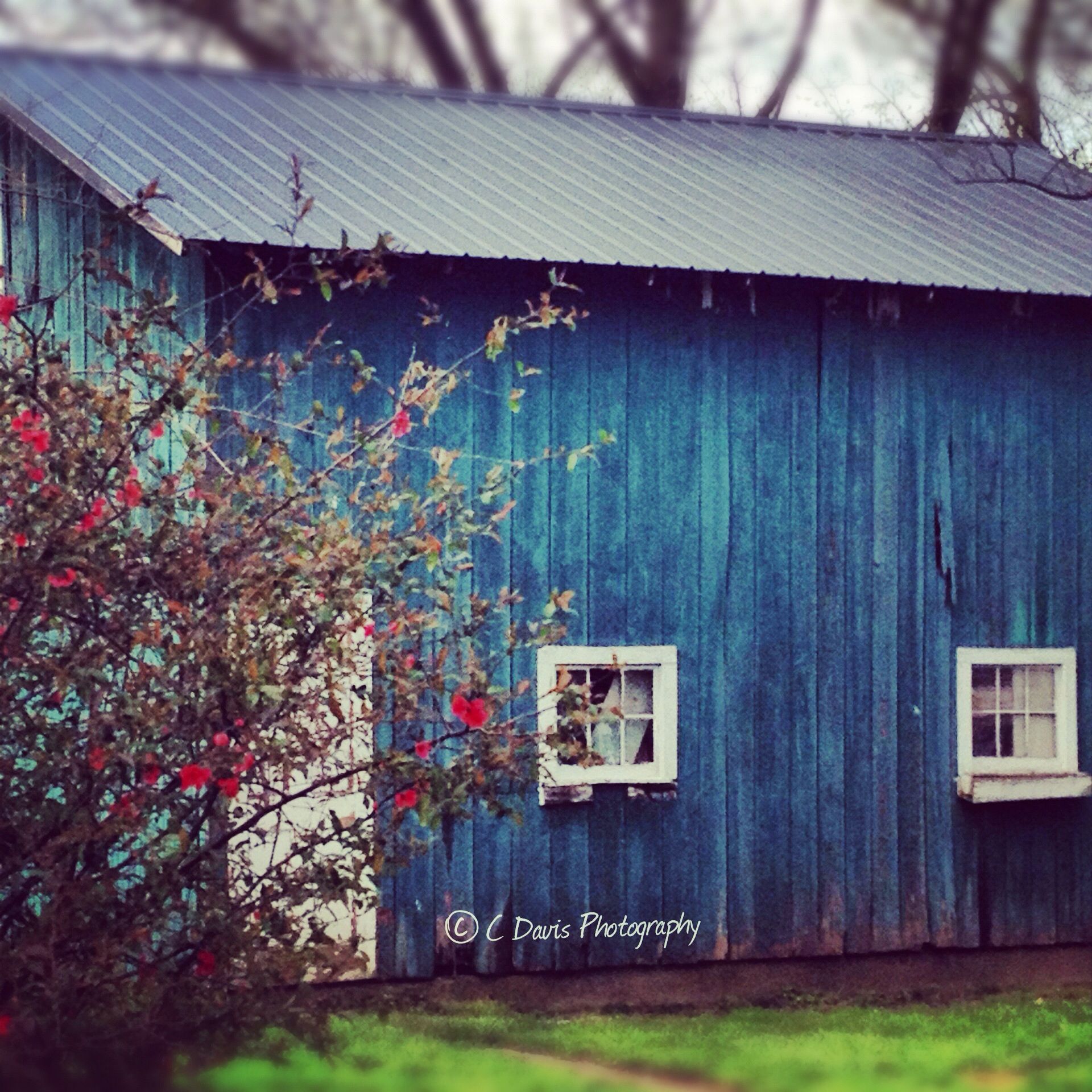 Blue Barns Apartments – Homegardensmart.com