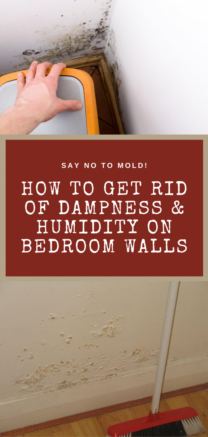 How To Get Rid Of Mold In The Bathroom Walls – Homegardensmart.com