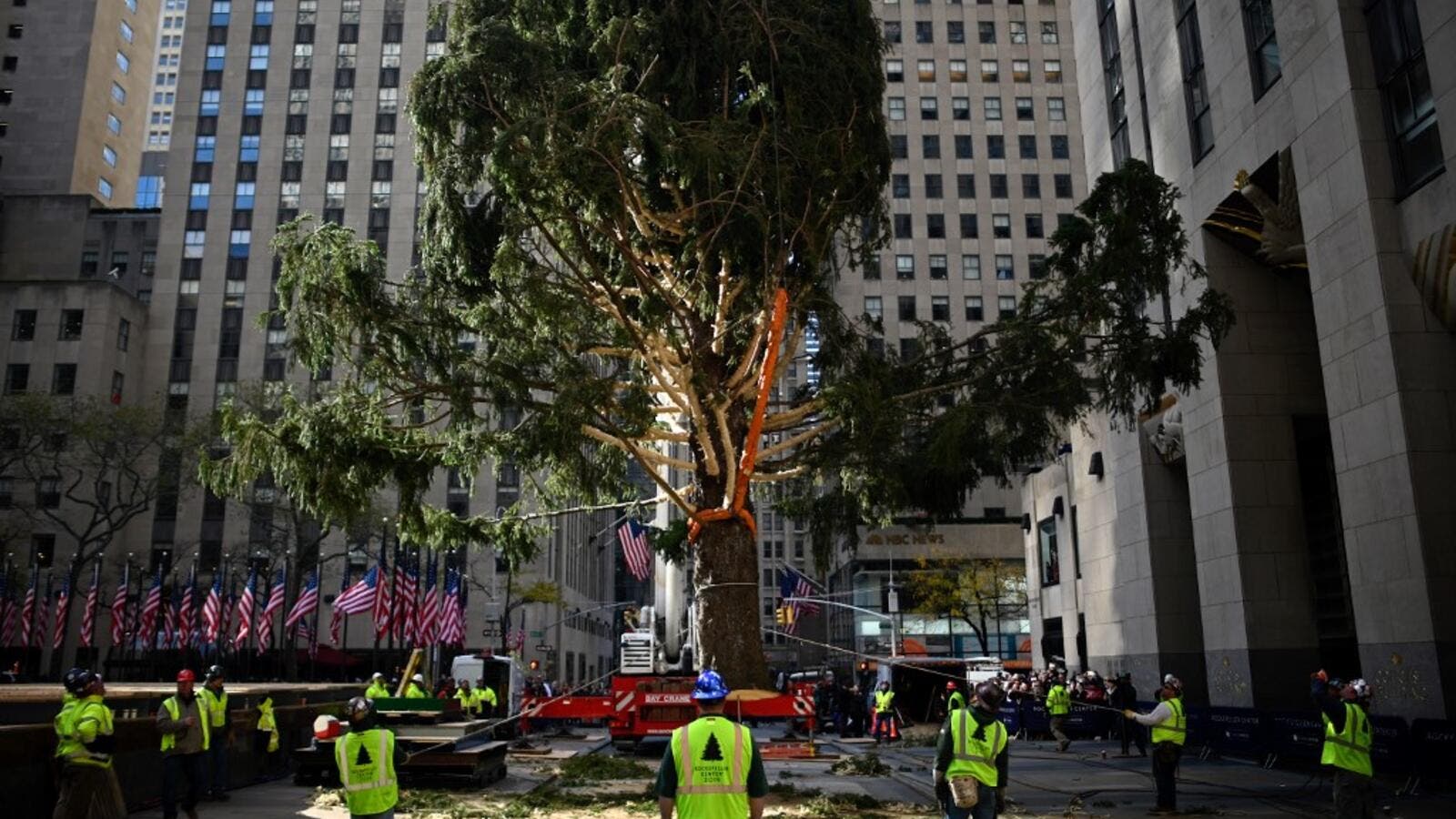 Live Cam Rockefeller Center Christmas Tree – Homegardensmart.com