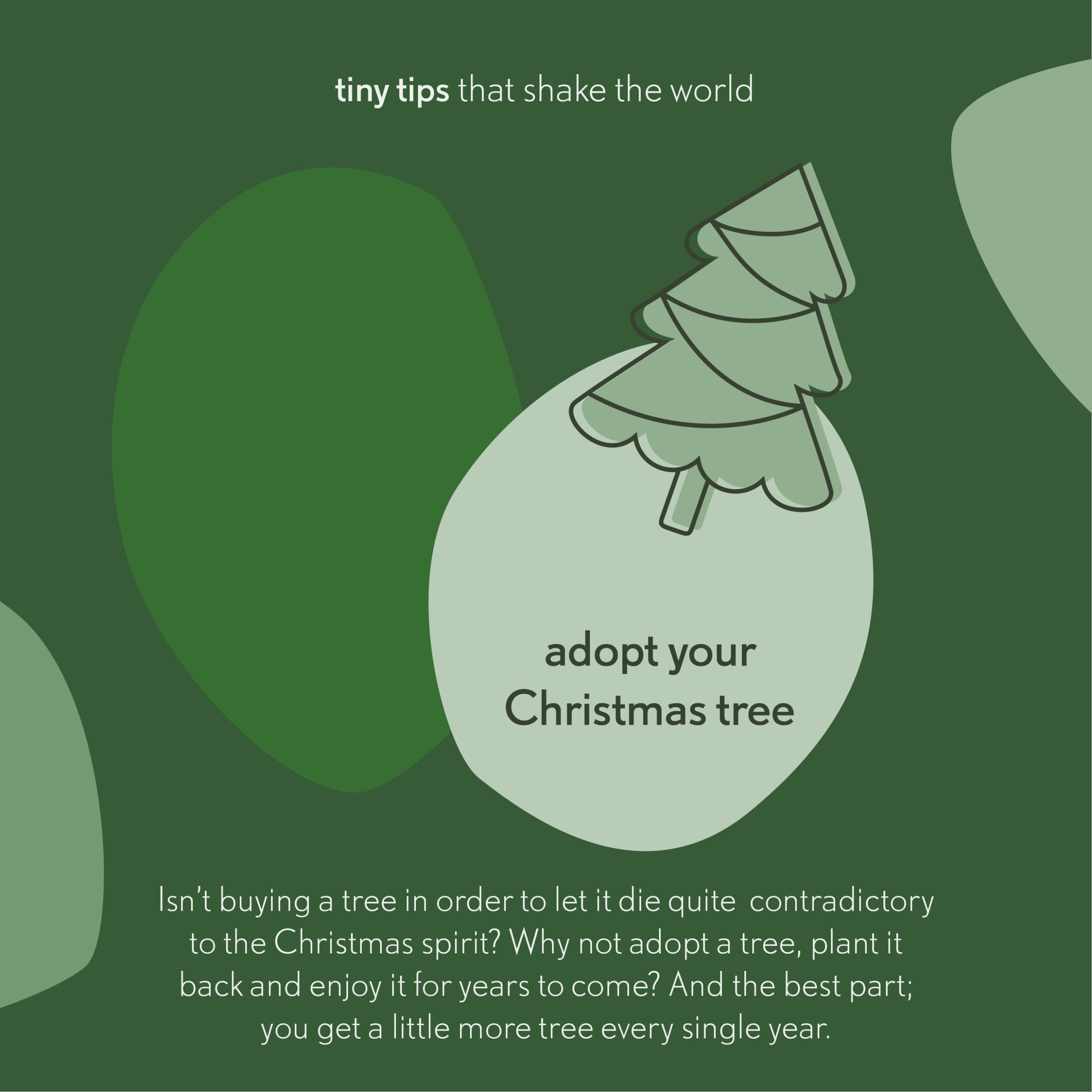 Adopt A Christmas Tree – Homegardensmart.com