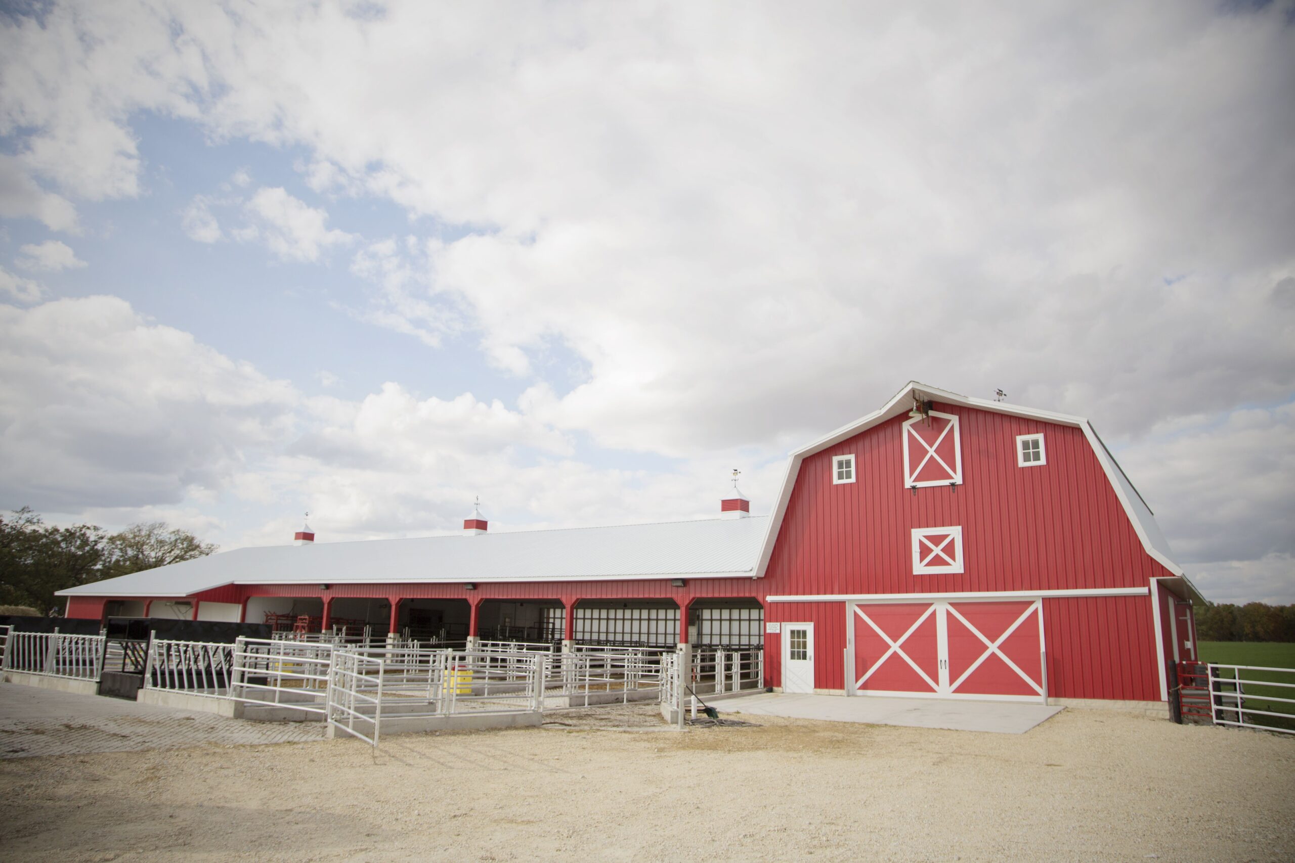 Cattle Barns – Homegardensmart.com