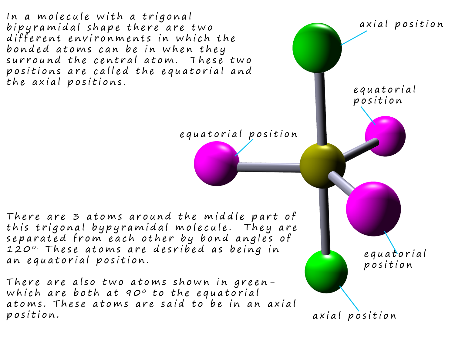 Equatorial Vs Axial Positin Chart – Homegardensmart.com