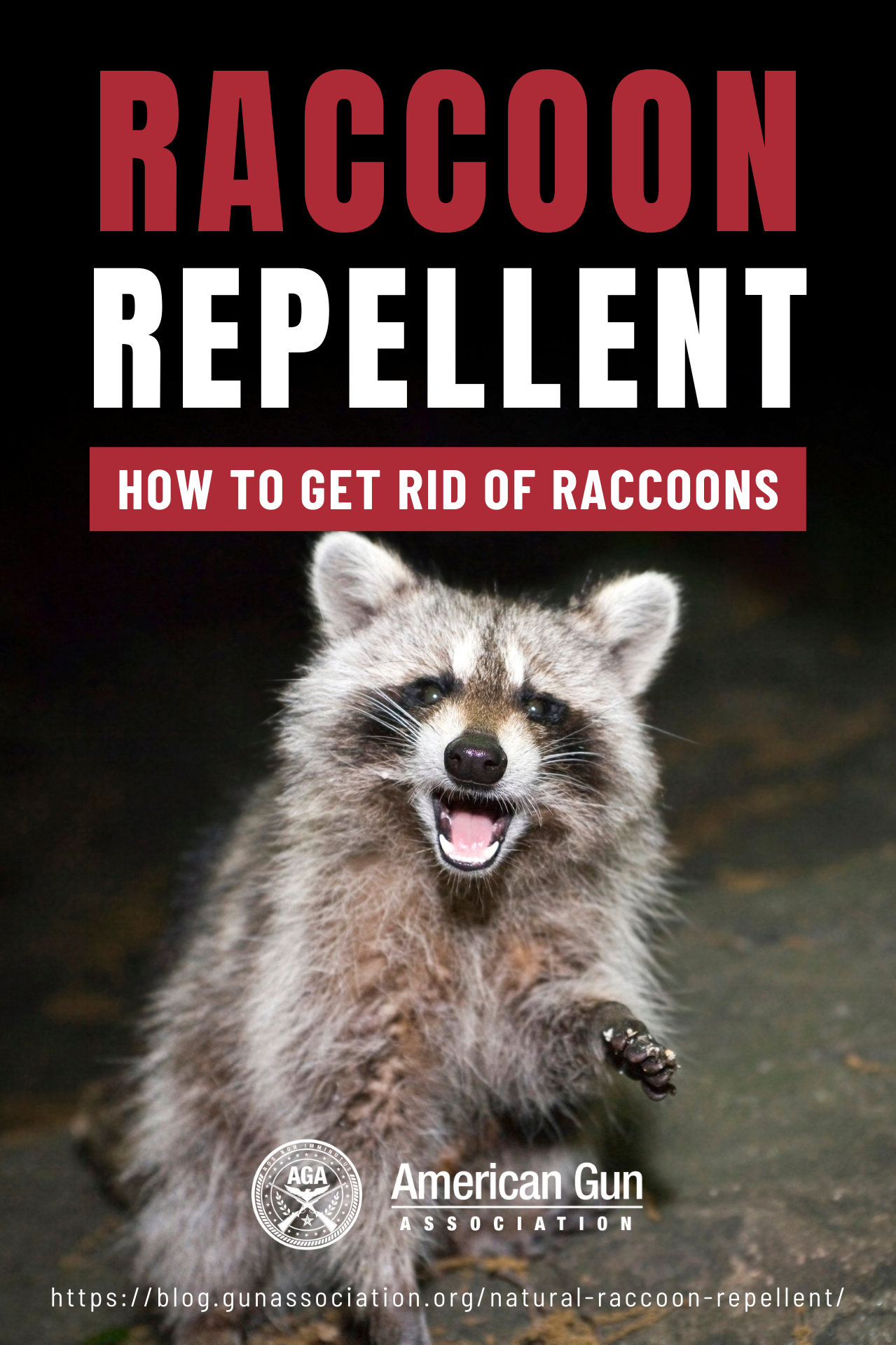 How To Get Rid Of Raccoons In My Backyard – Homegardensmart.com