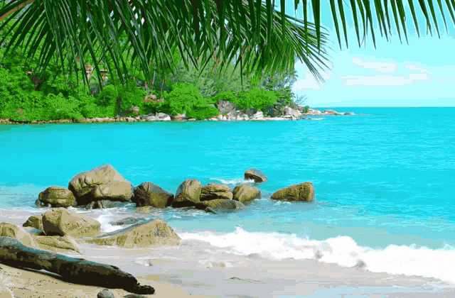 Animated Beach Pictures – Homegardensmart.com